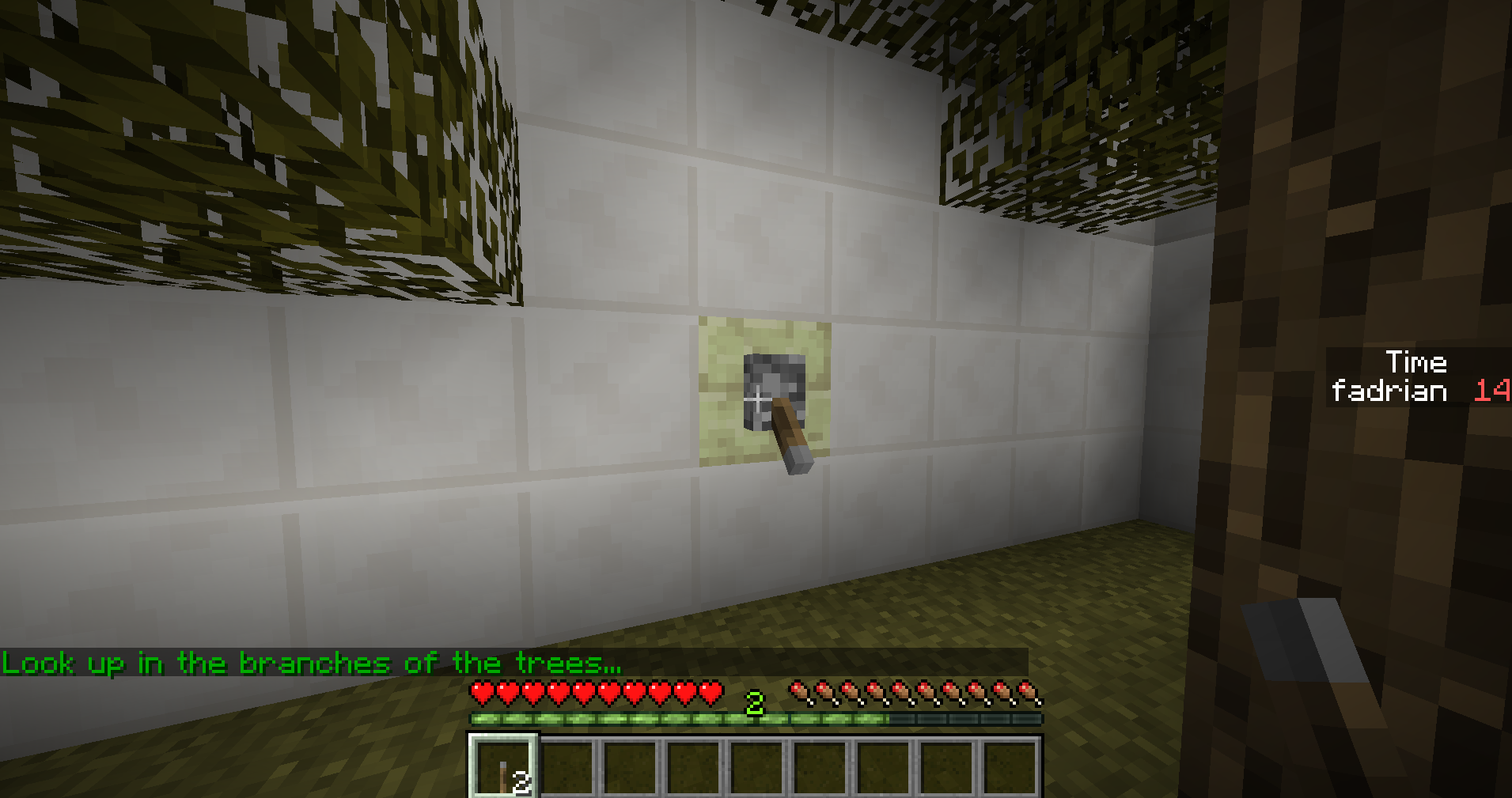 Find The Wooden Button - Minecraft.fr