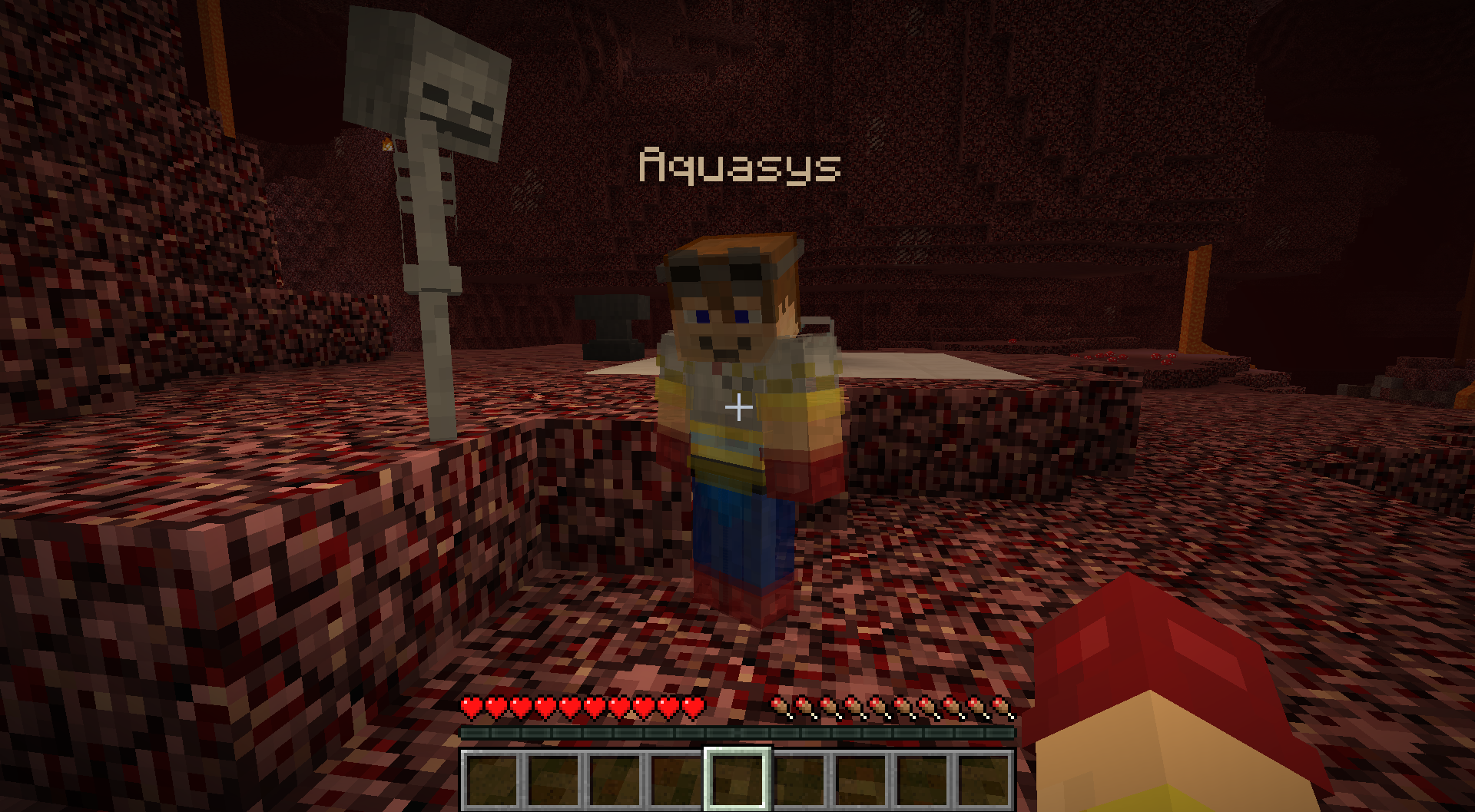 Overlord - Minecraft.fr