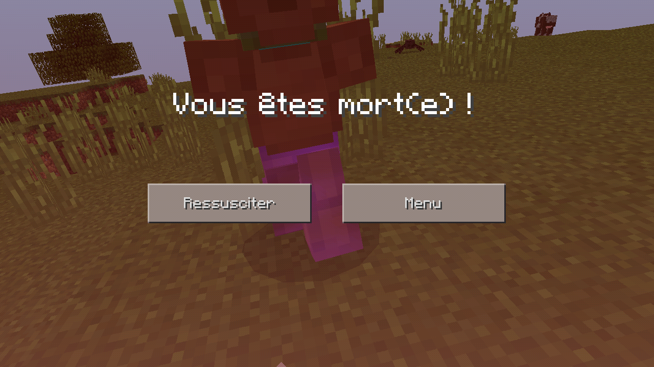 Le Pocket Edition #2 - Minecraft.fr