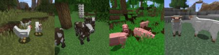 [Mod] Better Animals Models - 1.10.2 → 1.19 - Minecraft.fr