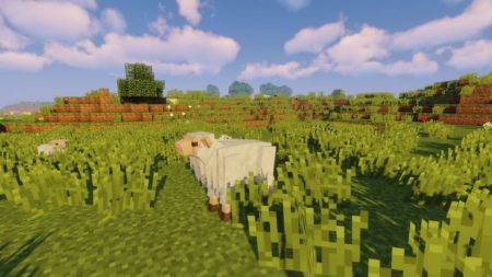 [Mod] Better Animals Models - 1.10.2 → 1.19 - Minecraft.fr