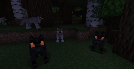[Mod] Better Animals Plus - 1.12.2 → 1.19.2 - Minecraft.fr