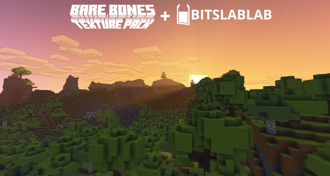 Bare Bones – Pack de Textures - 1.7 → 1.21 - Minecraft.fr