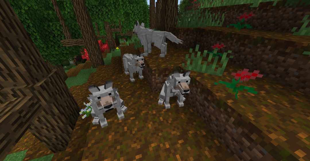[Mod] Better Animals Models - 1.10.2 → 1.19 - Minecraft.fr