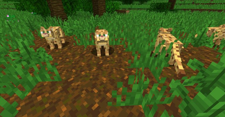 [Mod] Better Animals Models - 1.10.2 → 1.19 - Minecraft.fr