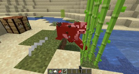 Comment faire un livre sur Minecraft ? - Minecraft.fr