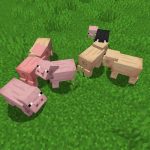 Quark - mod Minecraft améliorations et ajouts variés - Minecraft.fr