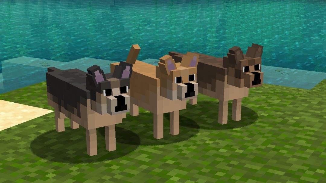 🐶 Better Dogs - Pack de Textures Minecraft - 1.8 → 1.21 - Minecraft.fr