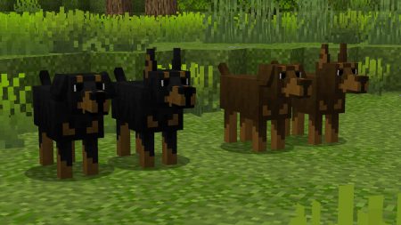 🐶 Better Dogs - Pack de Textures Minecraft - 1.8 → 1.21 - Minecraft.fr