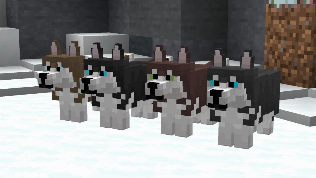 🐶 Better Dogs - Pack de Textures Minecraft - 1.8 → 1.21 - Minecraft.fr