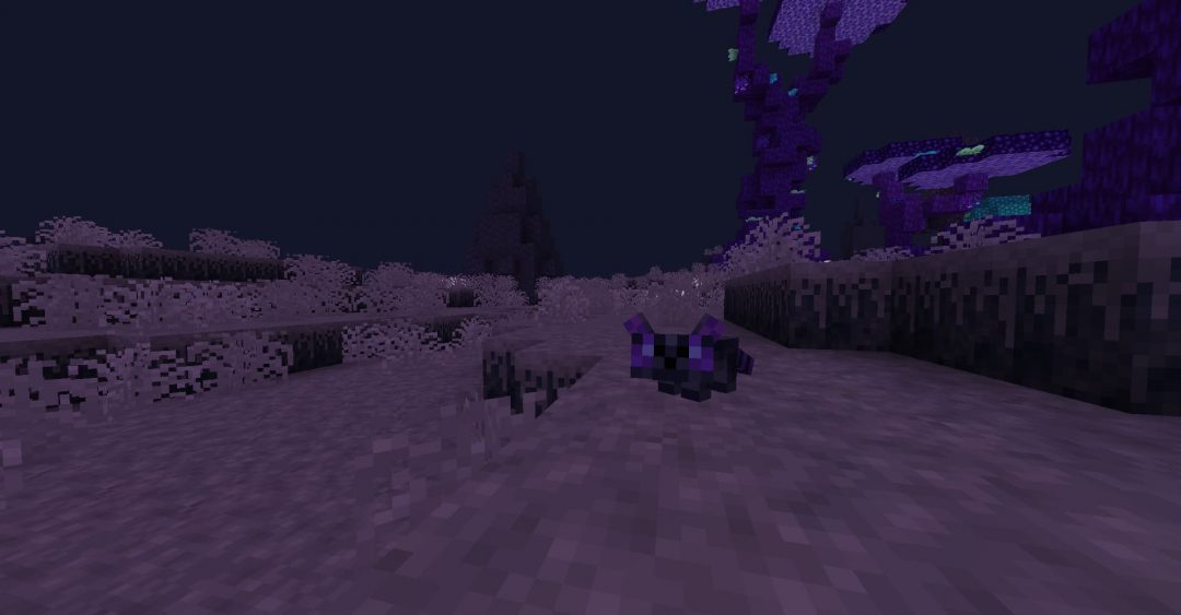 The Midnight - Mod - 1.12.2 → 1.20.1 - Minecraft.fr