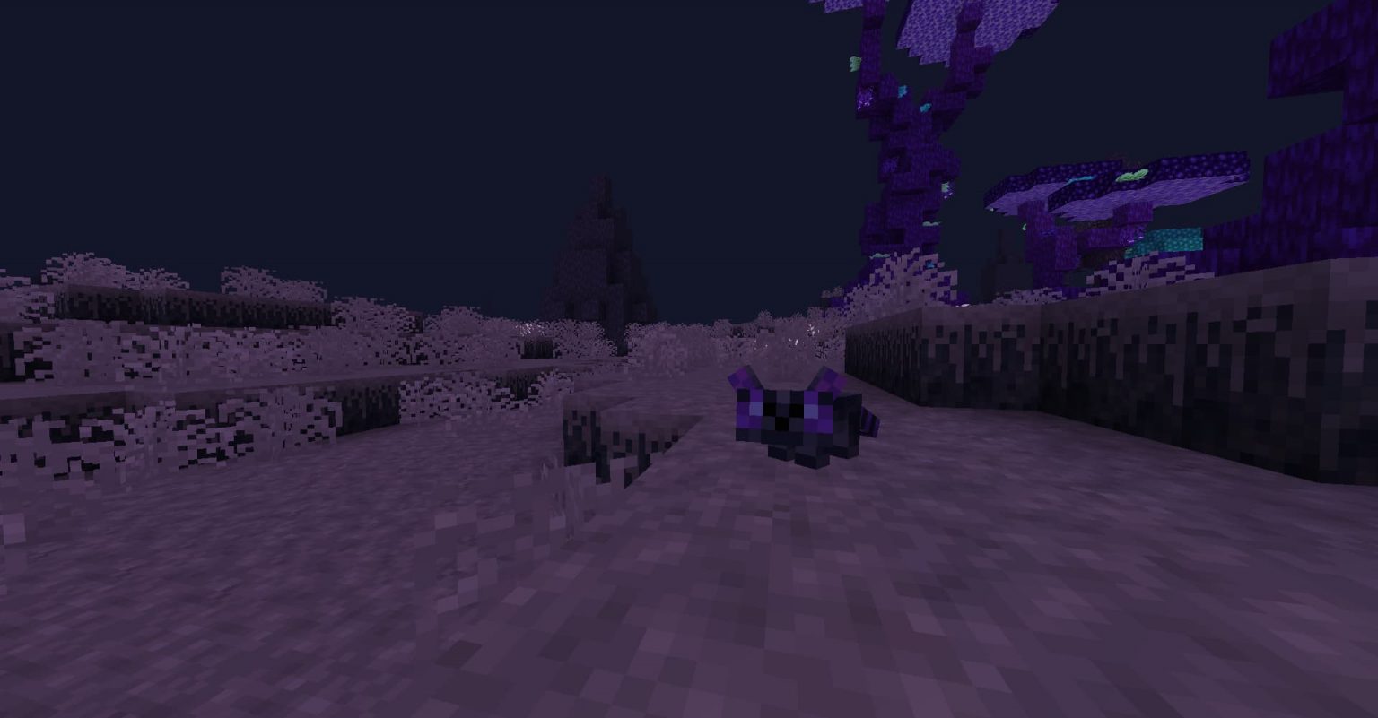 The Midnight - Mod - 1.12.2 → 1.20.1 - Minecraft.fr