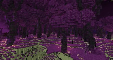 Better End - Mod Minecraft Forge & Fabric 1.16.5 → 1.21.1 - Minecraft.fr