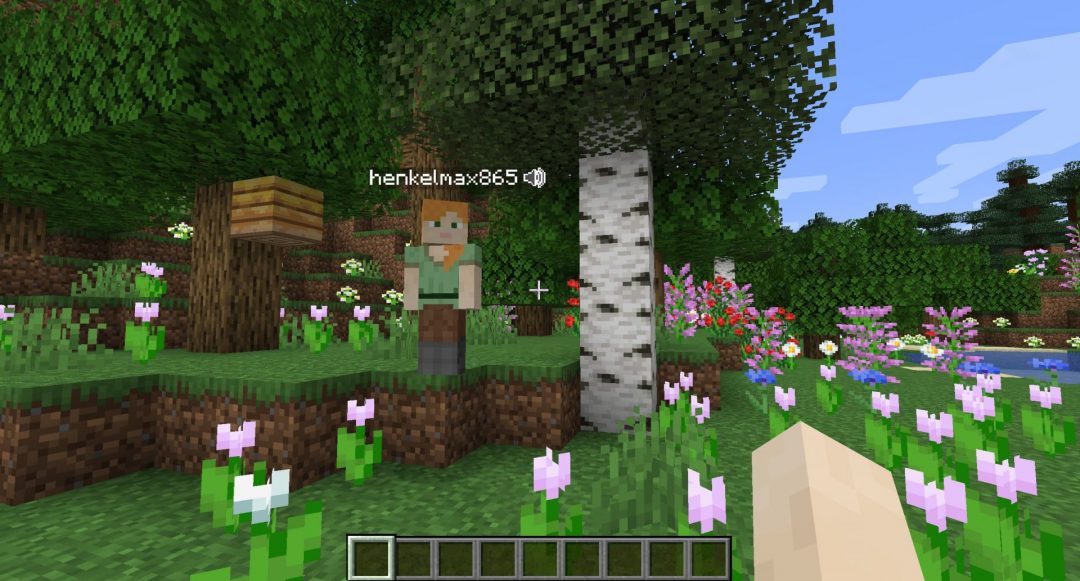 Chat vocal Minecraft (Proximité) - Simple Voice Chat Mod 1.21.8 ...