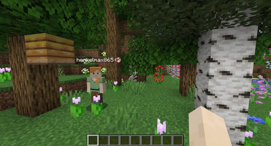 Chat vocal Minecraft (Proximité) - Simple Voice Chat Mod 1.21.8 ...