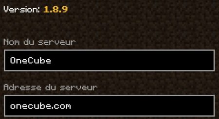 One Cube – Le serveur Minecraft d’Inoxtag ouvre ses portes - Minecraft.fr