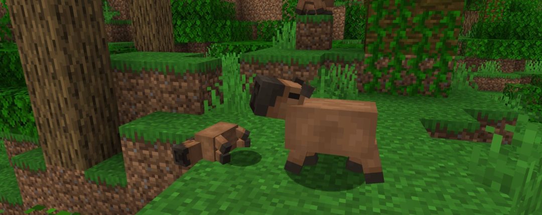 Promenade - Mod Minecraft - 1.16.5 → 1.21.4 - Minecraft.fr