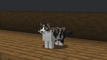 Better Cats : Chats Réalistes et Variés – Pack de Texture Minecraft – 1 ...