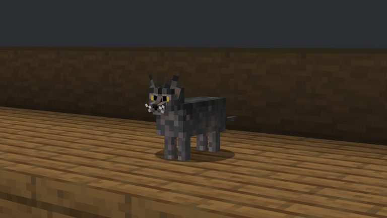 Better Cats : Chats Réalistes et Variés – Pack de Texture Minecraft – 1 ...