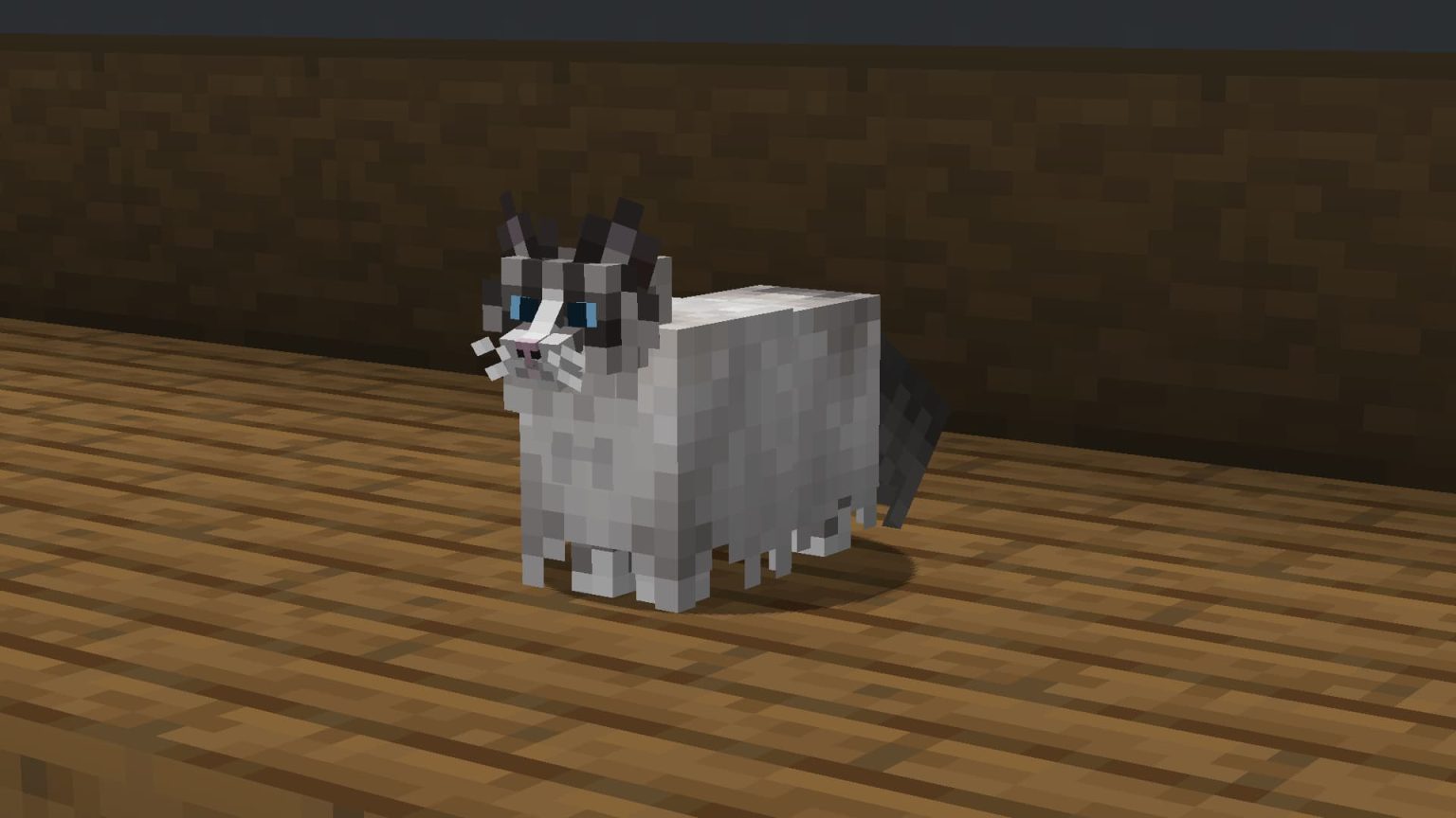 Better Cats : Chats Réalistes et Variés – Pack de Texture Minecraft – 1 ...