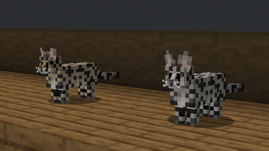 Better Cats : Chats Réalistes et Variés – Pack de Texture Minecraft – 1 ...