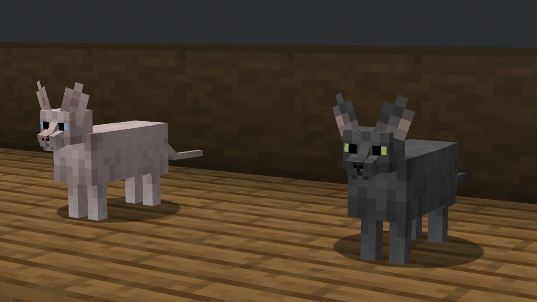 Better Cats : Chats Réalistes et Variés – Pack de Texture Minecraft – 1 ...