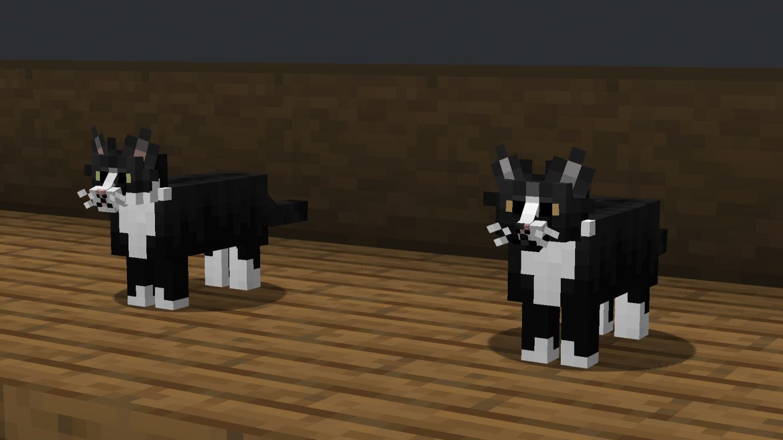 Better Cats : Chats Réalistes et Variés – Pack de Texture Minecraft – 1 ...