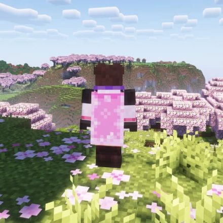 Minecraft : Comment obtenir les 3 capes Creeper, TikTok et Twitch ...