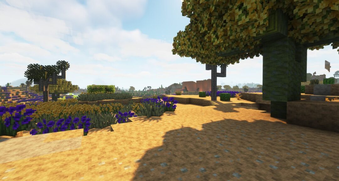 Nature's Spirit : Biomes Inspirés du Monde Réel – Mod Minecraft - 1.20 ...