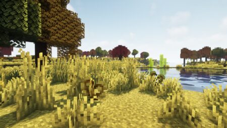 Nature's Spirit : Biomes Inspirés du Monde Réel – Mod Minecraft - 1.20 ...