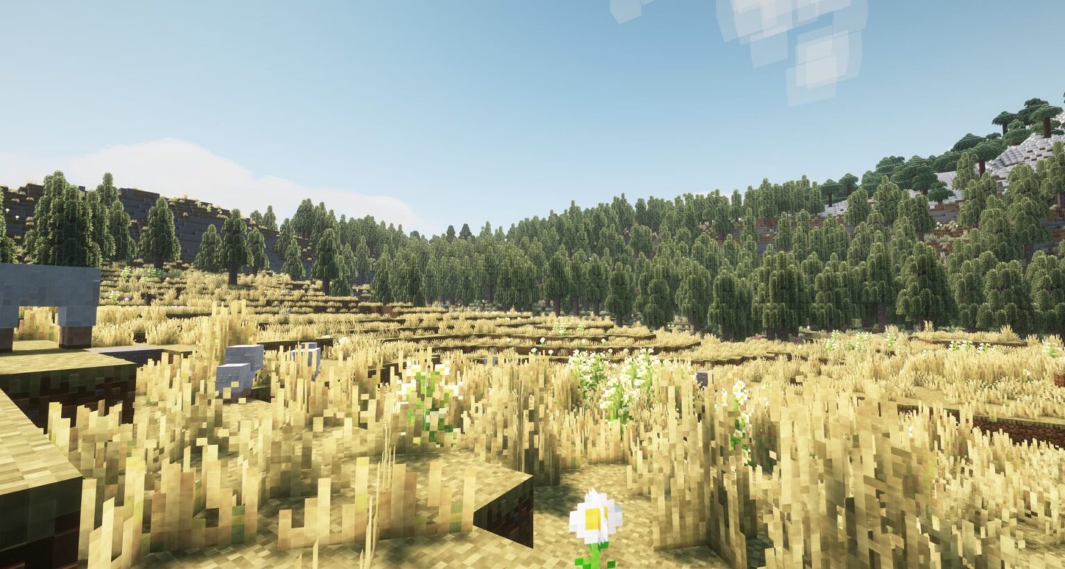 Nature's Spirit : Biomes Inspirés du Monde Réel – Mod Minecraft - 1.20 ...