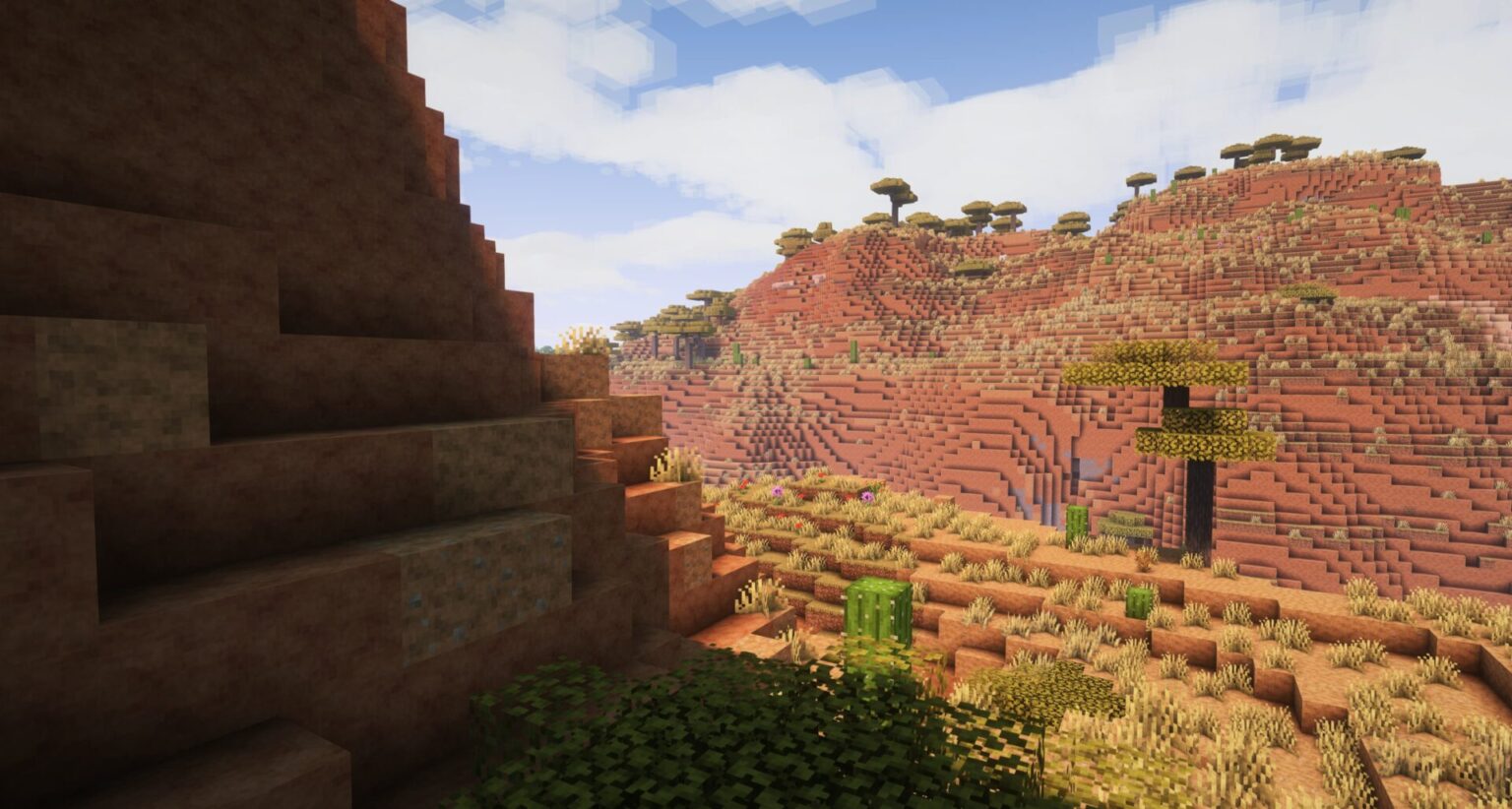 Nature's Spirit : Biomes Inspirés du Monde Réel – Mod Minecraft - 1.20 ...