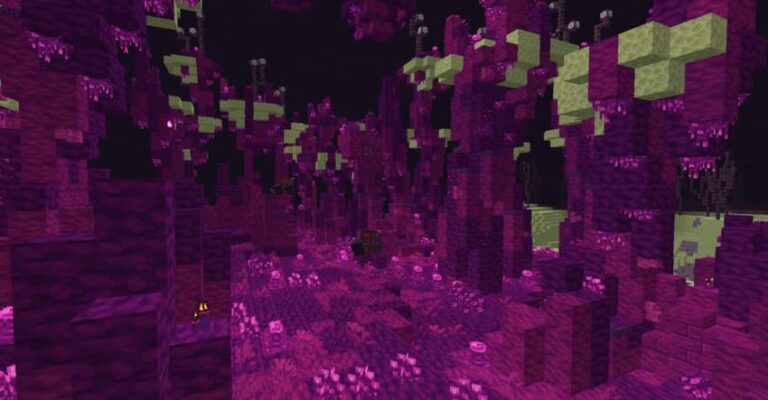 Unusual End : Nouvelles Créatures et Biomes de l’End – Mod Minecraft ...