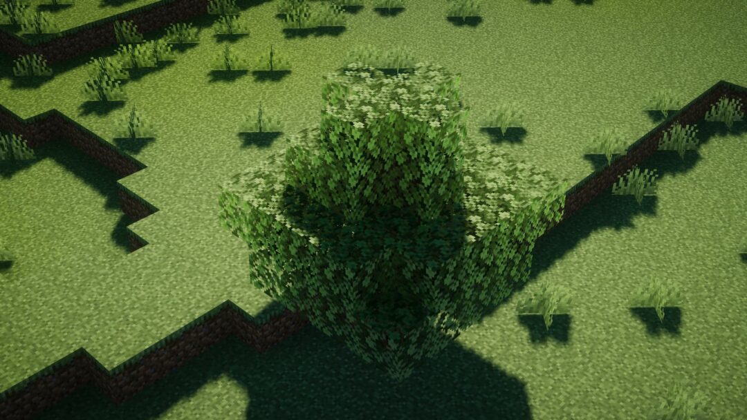 Ebin Resurrected : Graphismes Sublimés – Shader Minecraft - Minecraft.fr