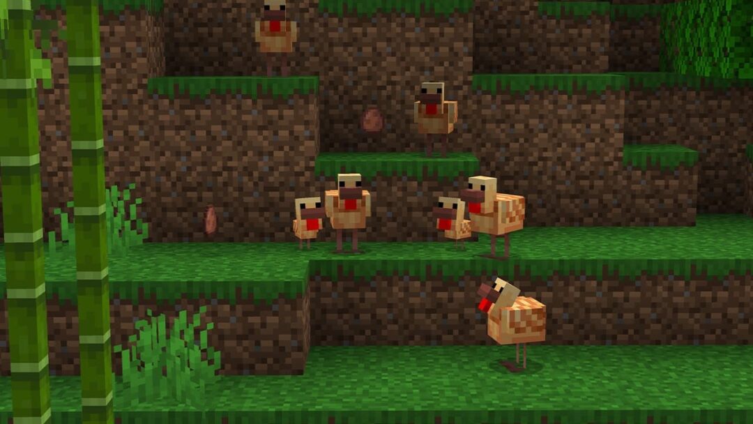 Minecraft : Poules bicolores, cactus fleuris et herbe sèche, la nature ...