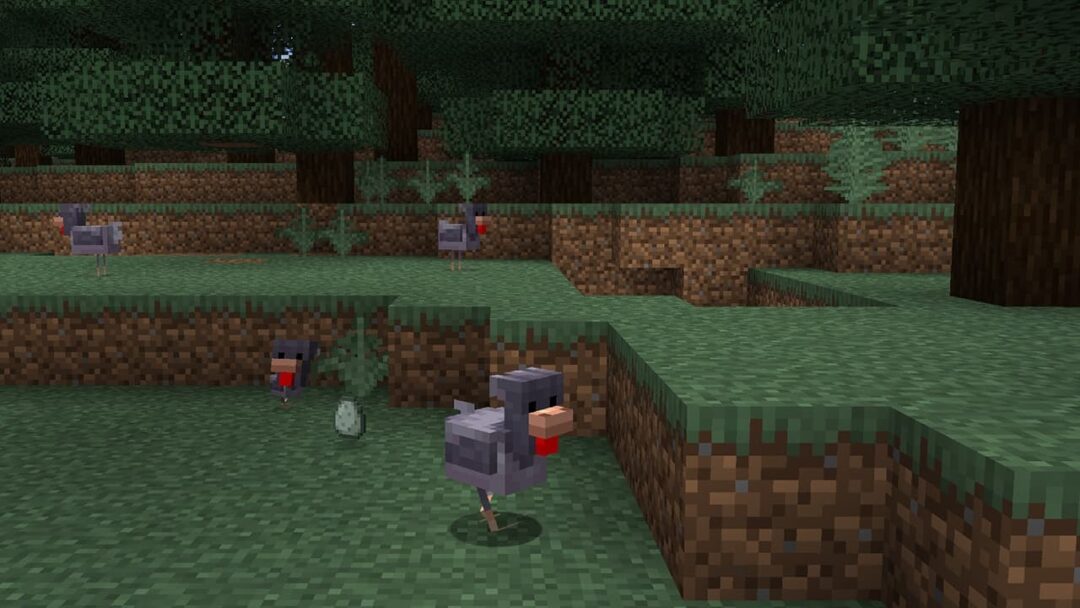 Minecraft : Poules bicolores, cactus fleuris et herbe sèche, la nature ...
