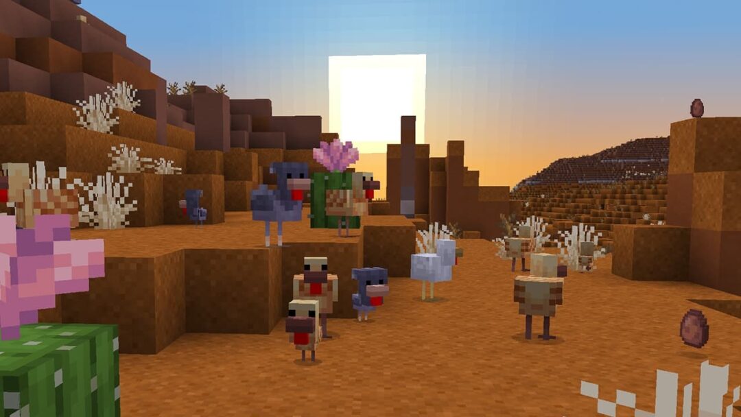 Minecraft : Poules bicolores, cactus fleuris et herbe sèche, la nature ...