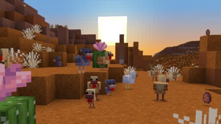 Minecraft : Poules bicolores, cactus fleuris et herbe sèche, la nature ...