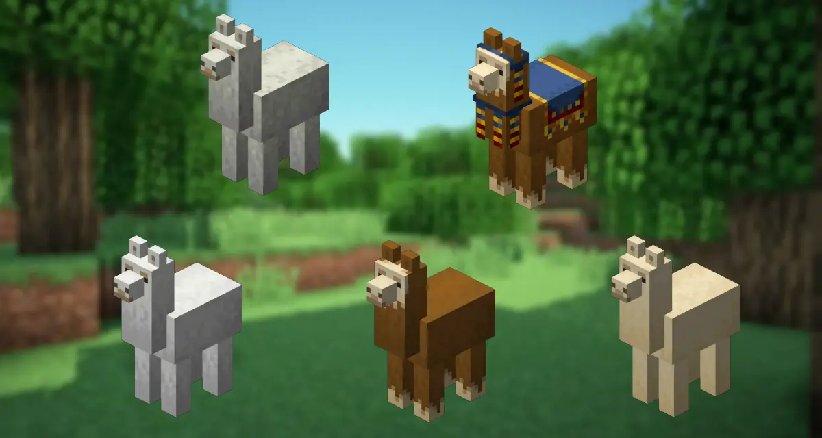 Lama Minecraft - Nourrir, apprivoisement et reproduction | Minecraft.fr