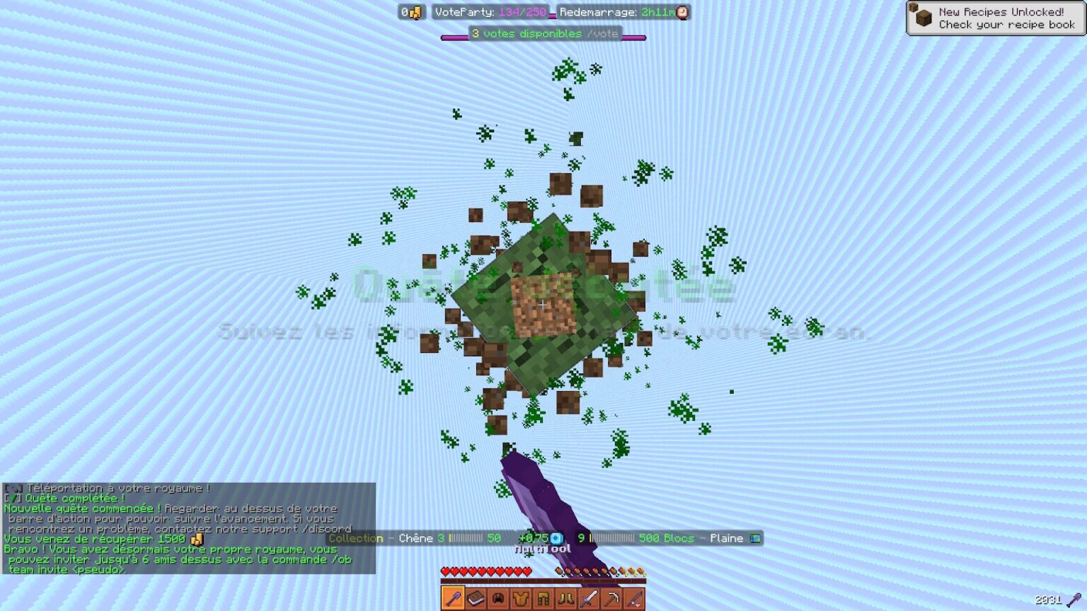 Top 10 des Meilleurs Serveurs Minecraft Survie en 2025 - Minecraft.fr