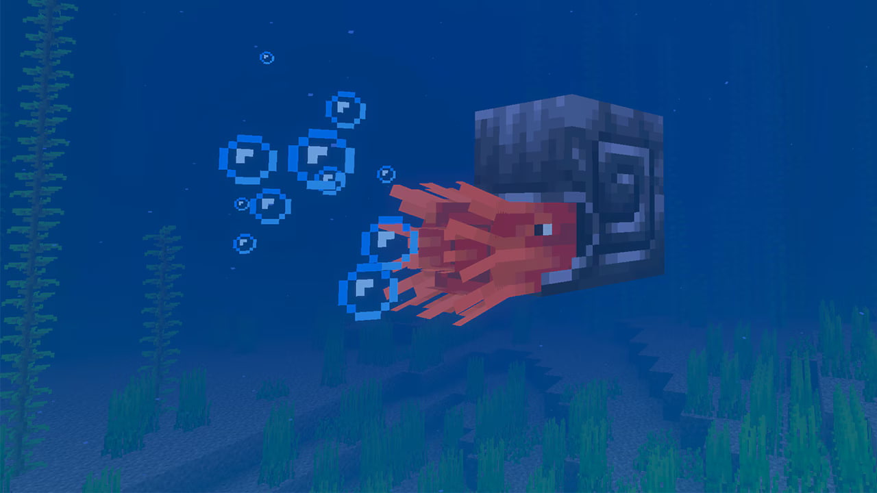 Nautile Minecraft - Tout savoir sur ce mob aquatique | Minecraft.fr