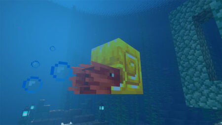 Nautile Minecraft - Tout savoir sur ce mob aquatique | Minecraft.fr