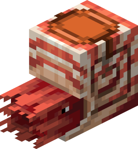 Nautile Minecraft - Tout savoir sur ce mob aquatique | Minecraft.fr