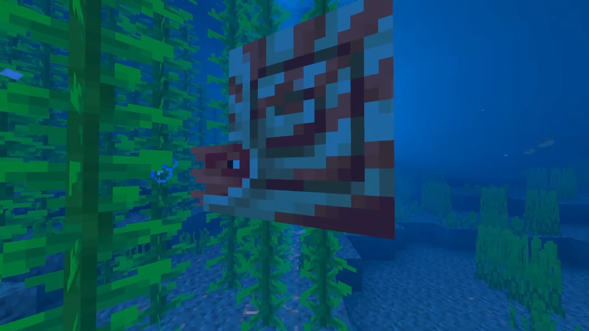 Nautile Minecraft - Tout savoir sur ce mob aquatique | Minecraft.fr