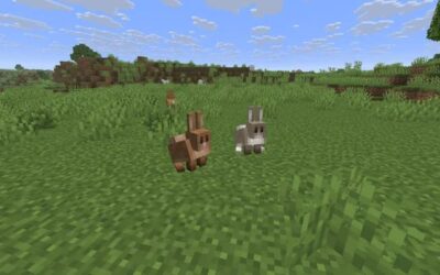Lapin Minecraft - Tout savoir sur cet animal | Minecraft.fr