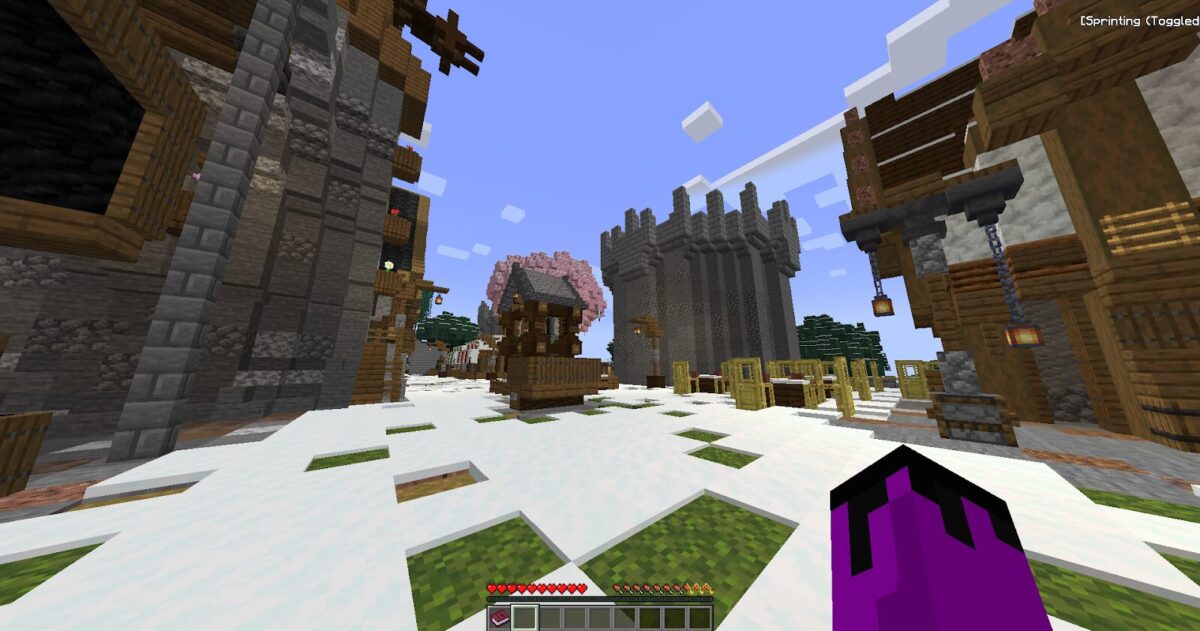 Top 10 des Meilleurs Serveurs Minecraft SMP 2026 - Minecraft.fr